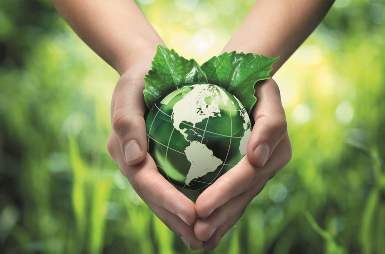 How Can I Contribute To Save Mother Earth 